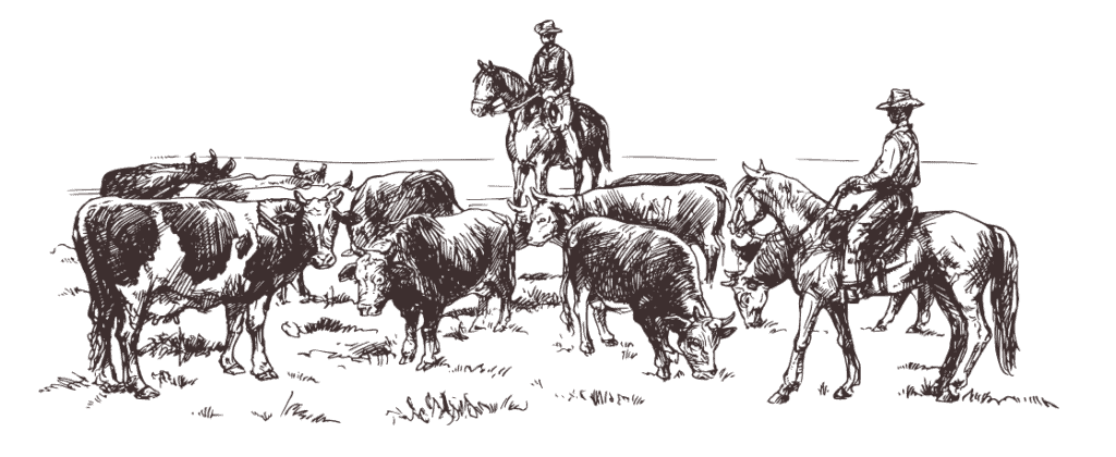 Cutting Clinics - Bill Riddle Cutting Horses