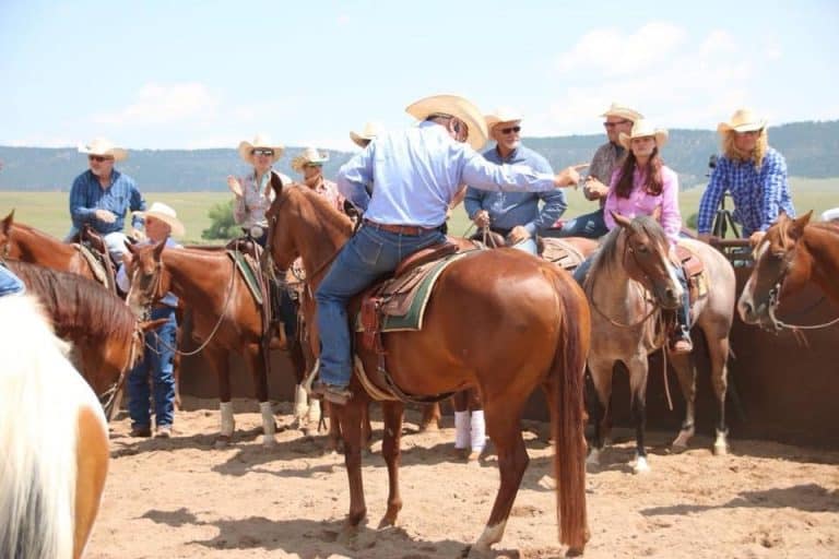 Cutting Clinics - Bill Riddle Cutting Horses