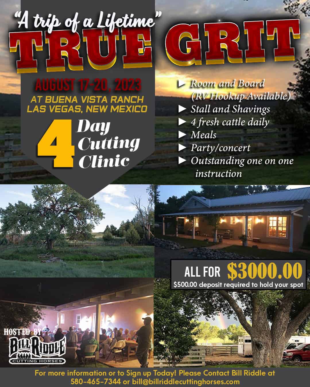 Cutting Clinics - Bill Riddle Cutting Horses